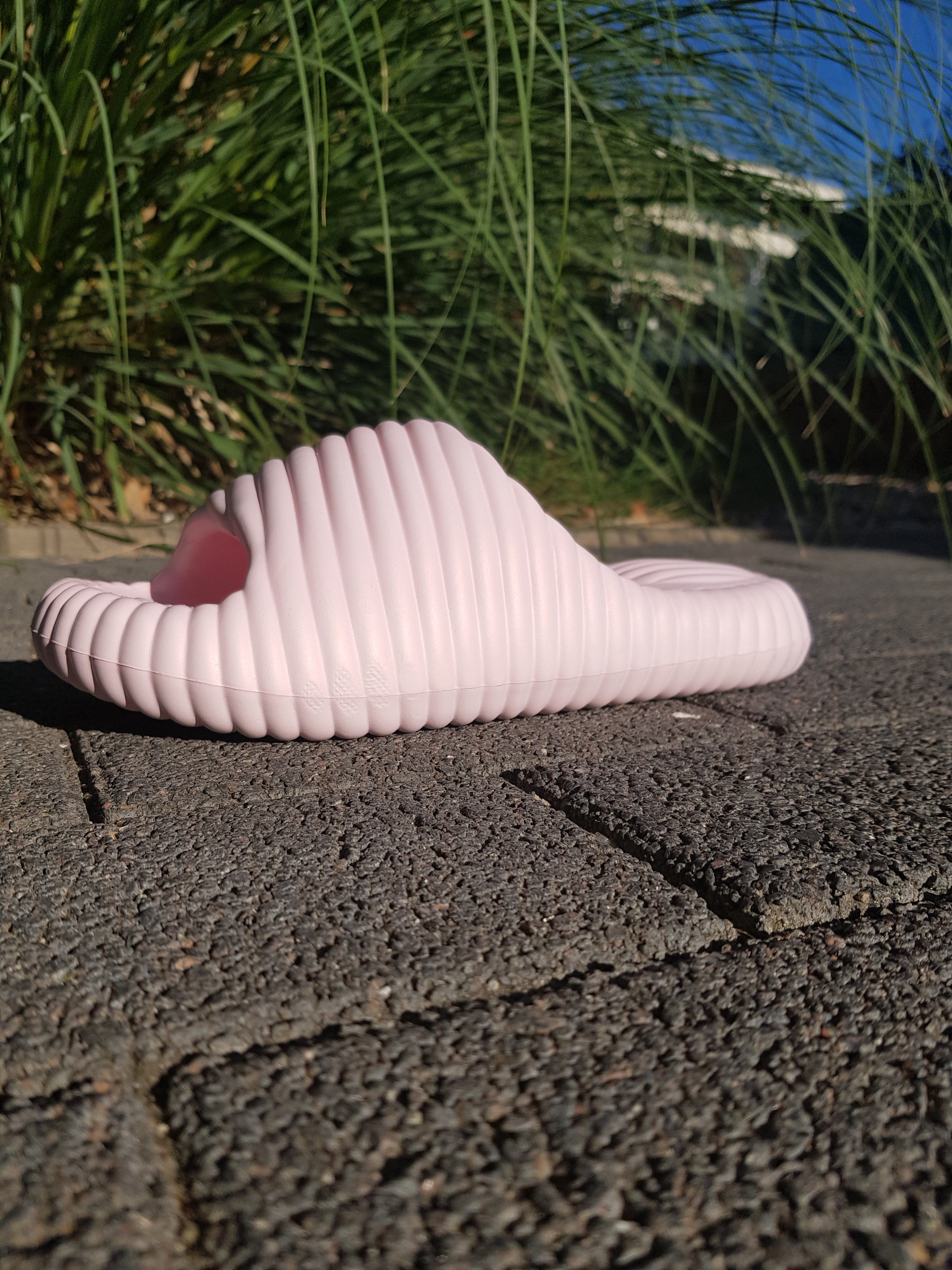 Flauschi